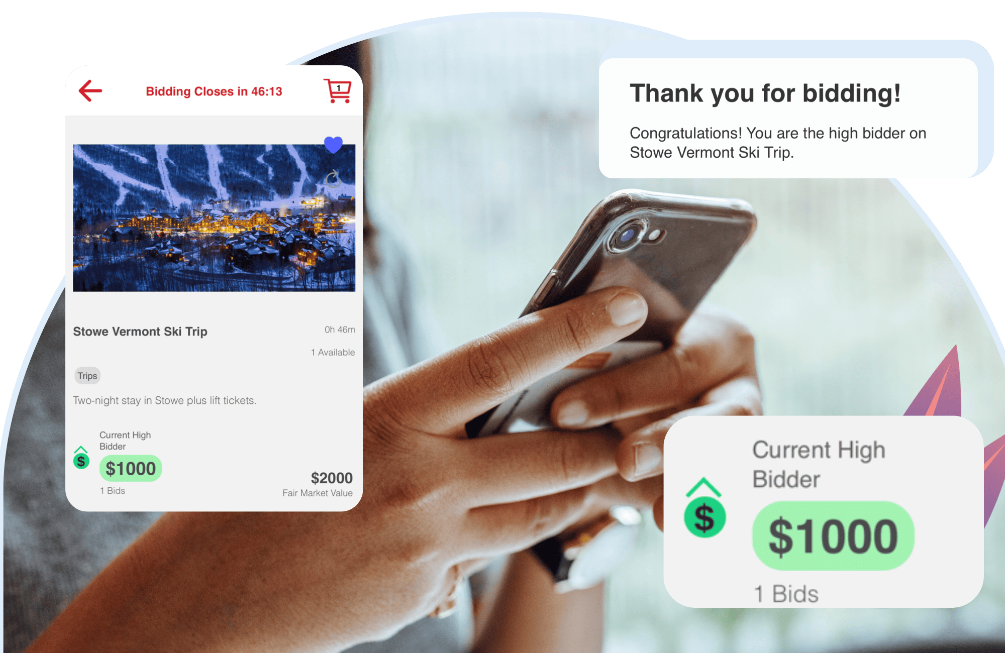 Online and Hybrid Auctions for Nonprofits - AuctionSnap